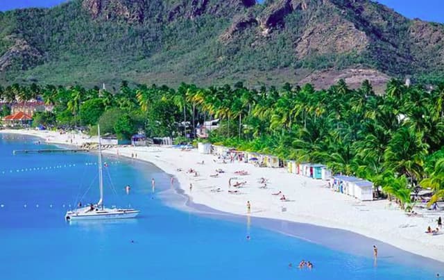 Barbados tourism hits record arrivals, officials say