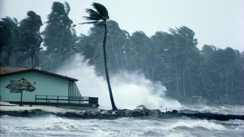 Hurricane Winds In Tampa Florida 2024 Hurricane Winds - Trudy Ingaberg Hurricane Winds In Tampa Florida 2024 Hurricane Winds - Trudy Ingaberg