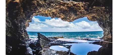 Animal Flower Cave Barbados - CNW Network