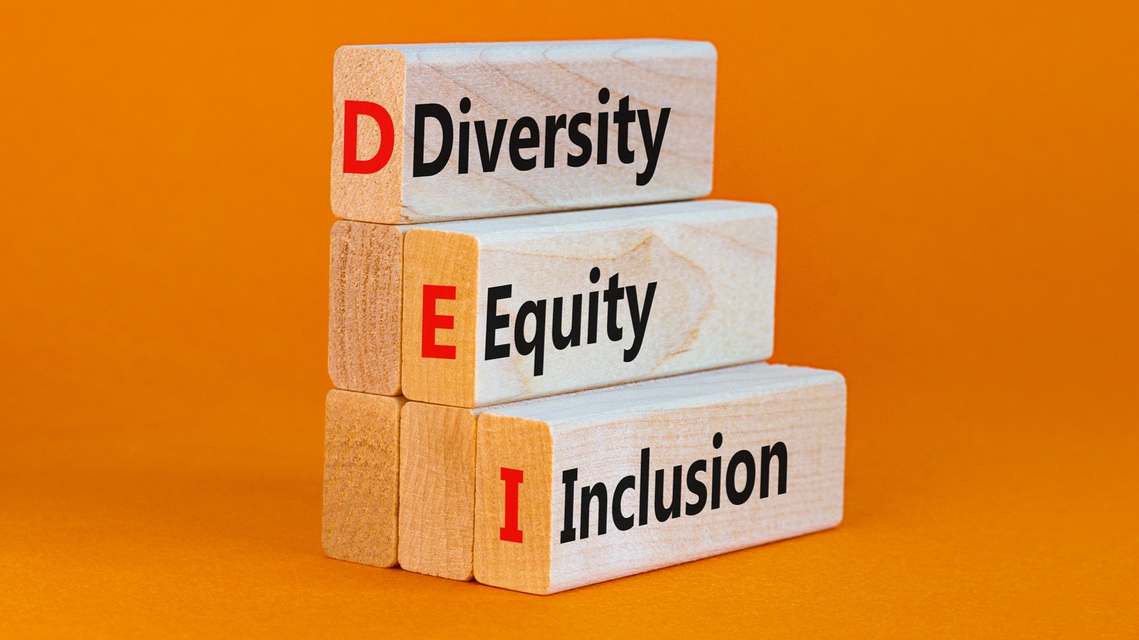 Opinion: Balancing merit and inclusion in the DEI debate - CNW Network