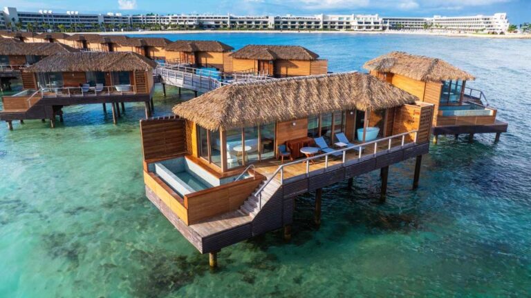 Princess Senses The Mangrove to reopen Feb. 1 with limited-time grand ...